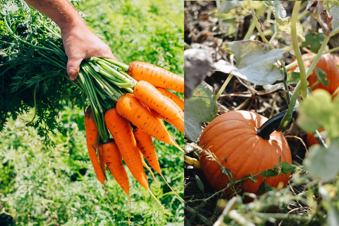 Services - Jarnsmior